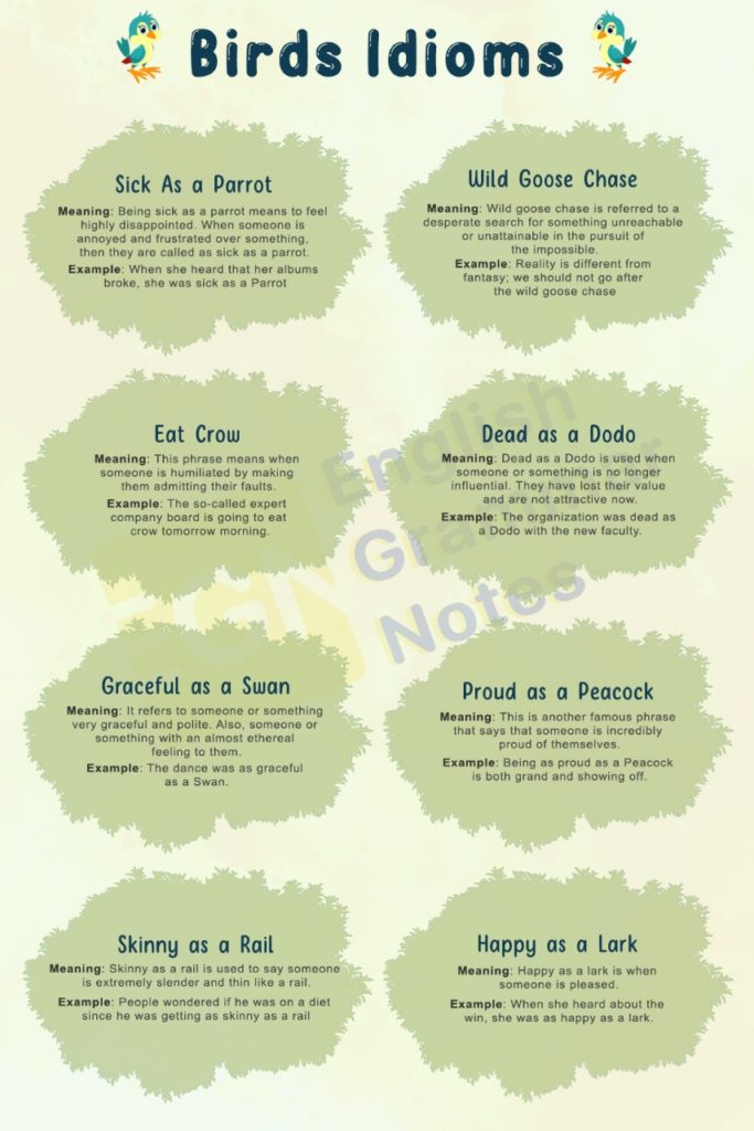 Bird Idioms | List of Bird Idioms With Meaning and Examples – English ...