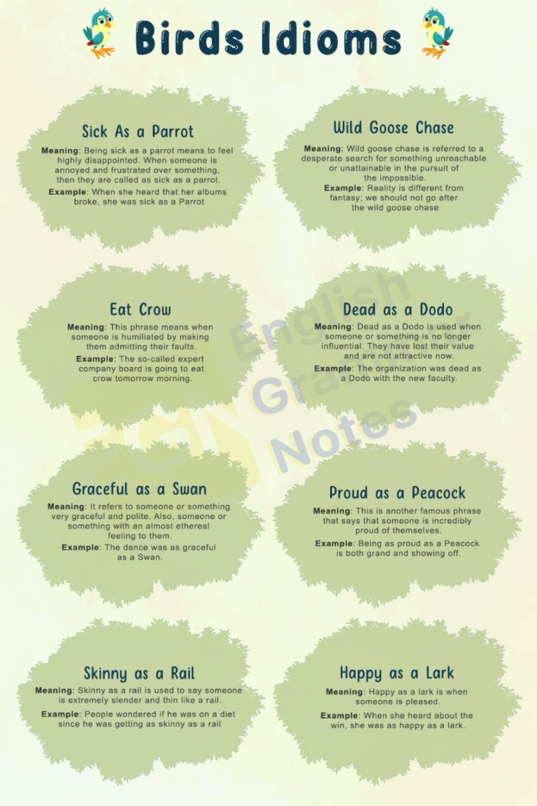 Bird Idioms | List of Bird Idioms With Meaning and Examples – English ...