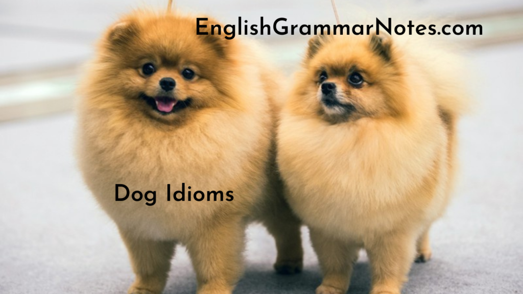 Dog Idioms List Of Dog Idioms With Meaning And Examples English dog-idioms-list-of-dog-idioms-with-meaning-and-examples-english