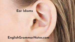 Ear Idioms | List of Ear Idioms With Meaning and Examples – English ...