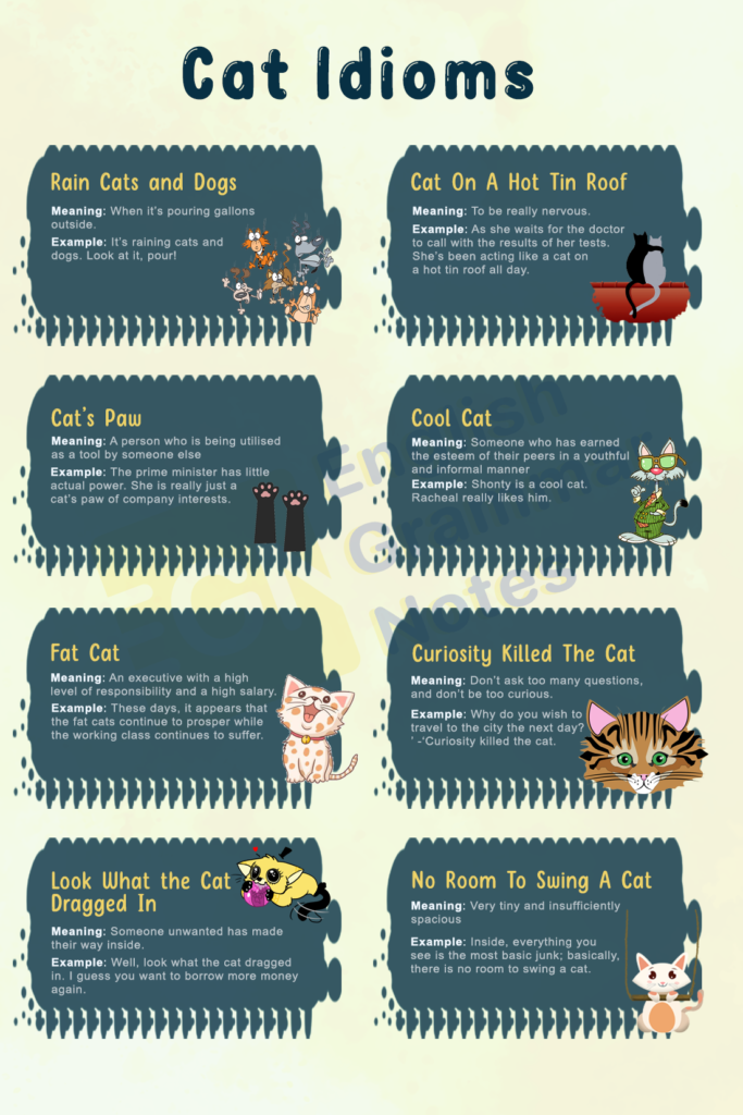 Cat Idioms | List of 30+ Interesting Idioms Related to Cat in English ...