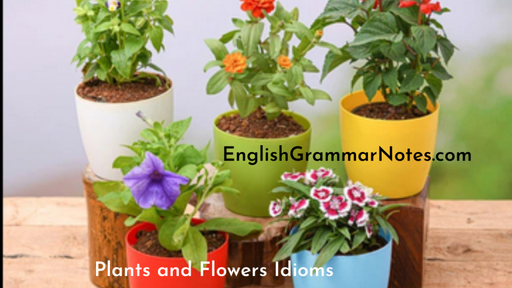 Plants and Flowers Idioms | List of Plants and Flowers Idioms With ...