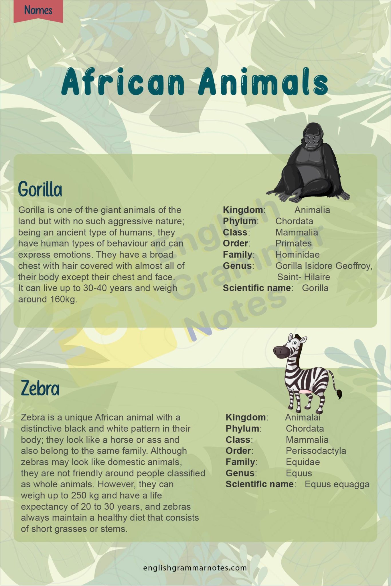 African Animals | List of African Animals With Descriptions – English ...