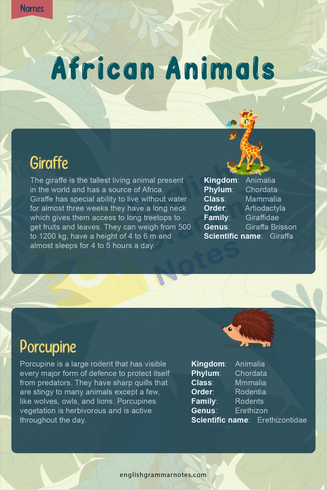 African Animals | List of African Animals With Descriptions – English ...