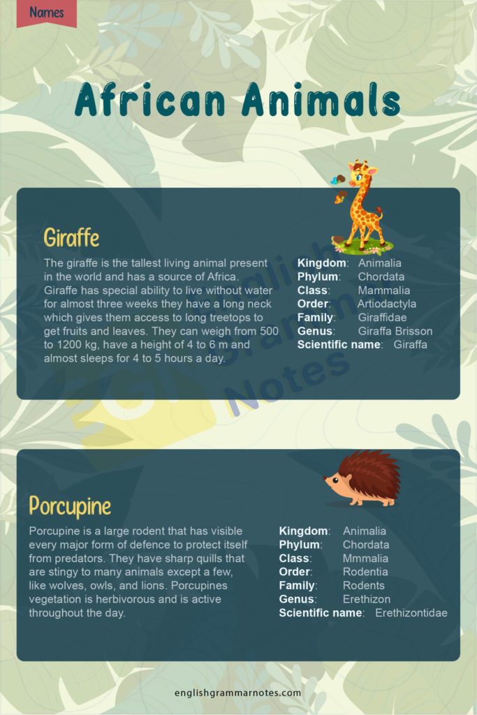 African Animals | List of African Animals With Descriptions – English ...