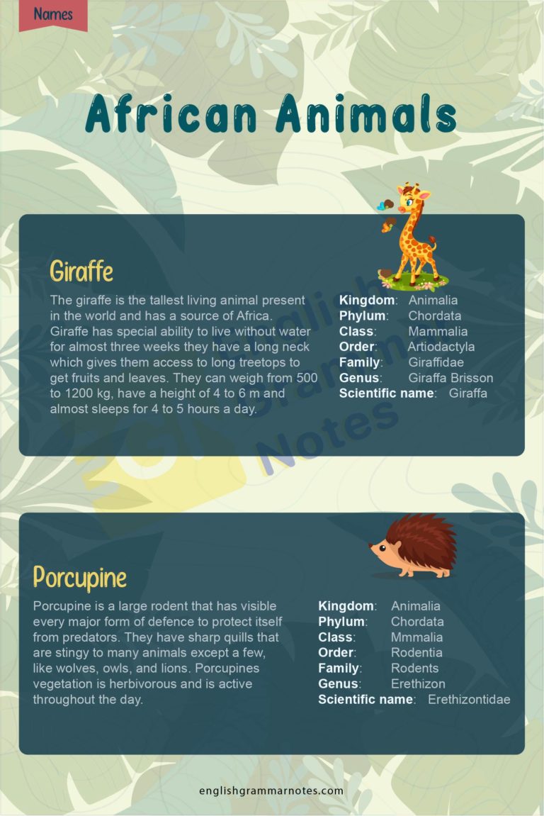 African Animals | List of African Animals With Descriptions – English ...