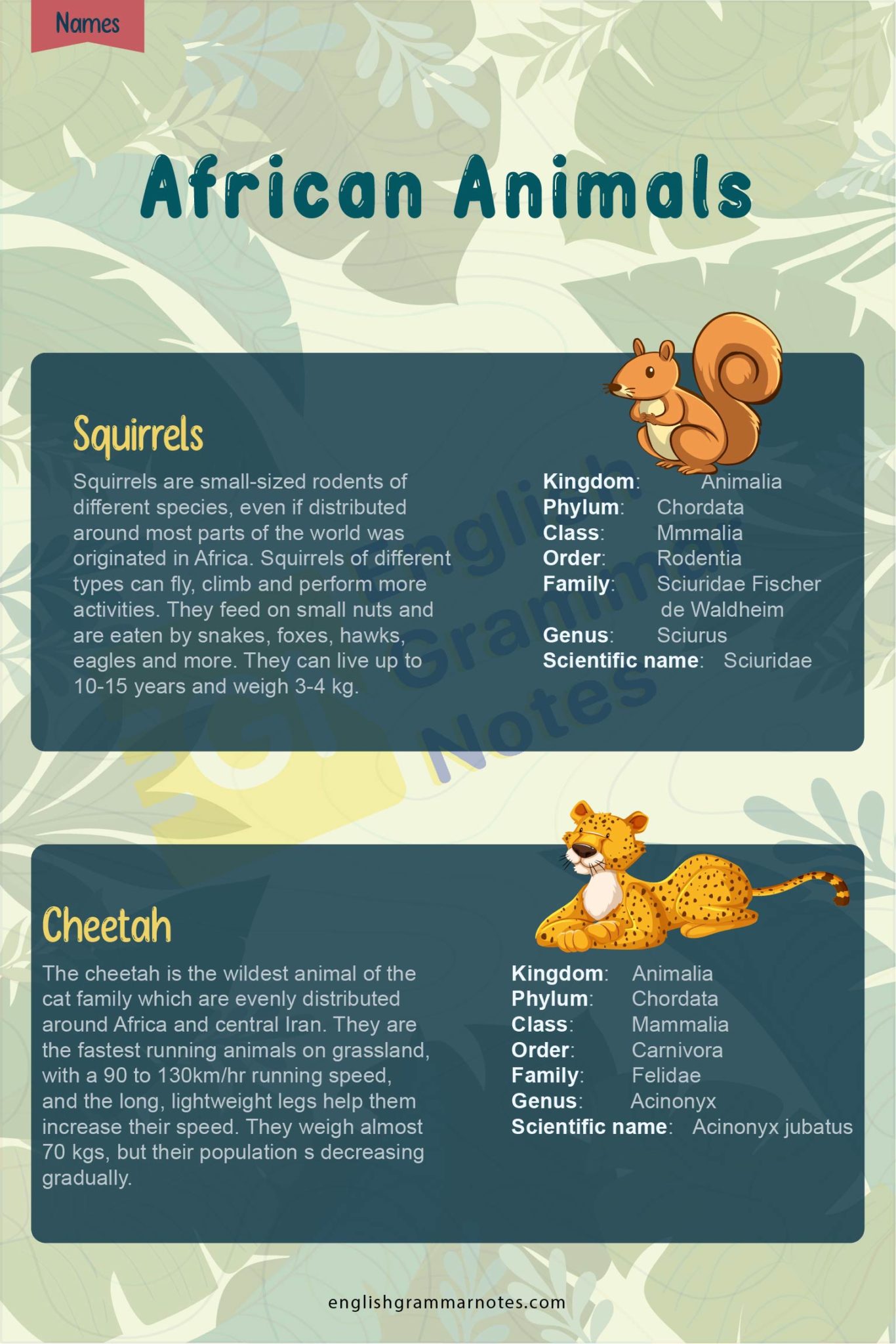 African Animals | List of African Animals With Descriptions – English ...