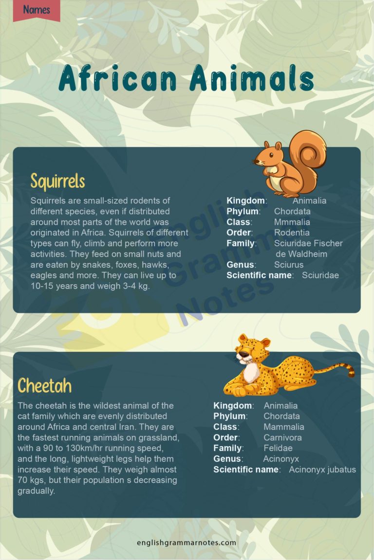African Animals | List of African Animals With Descriptions – English ...