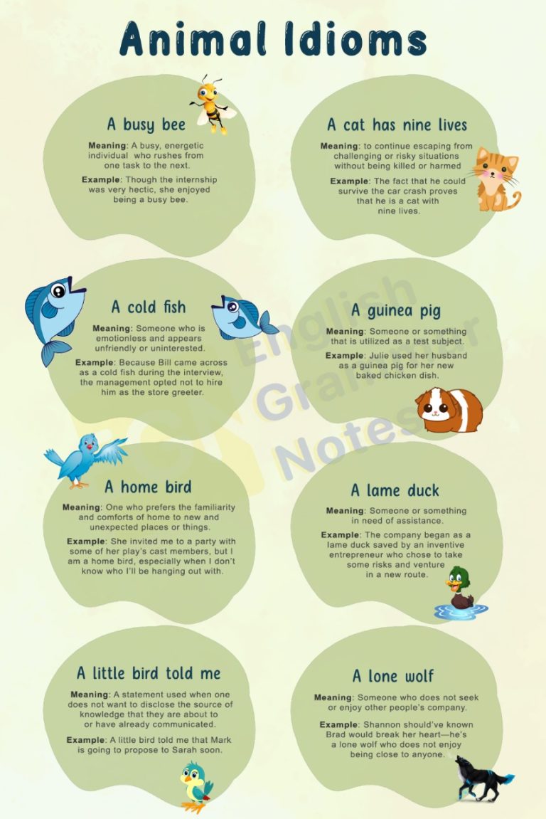 Animal Idioms | List of Animal Idioms With Meaning and Examples ...
