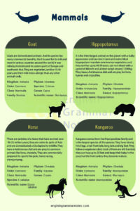 Animal Vocabulary English Mammals | List of Mammals With Description ...