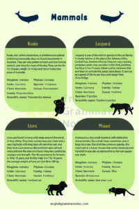 Animal Vocabulary English Mammals | List of Mammals With Description ...