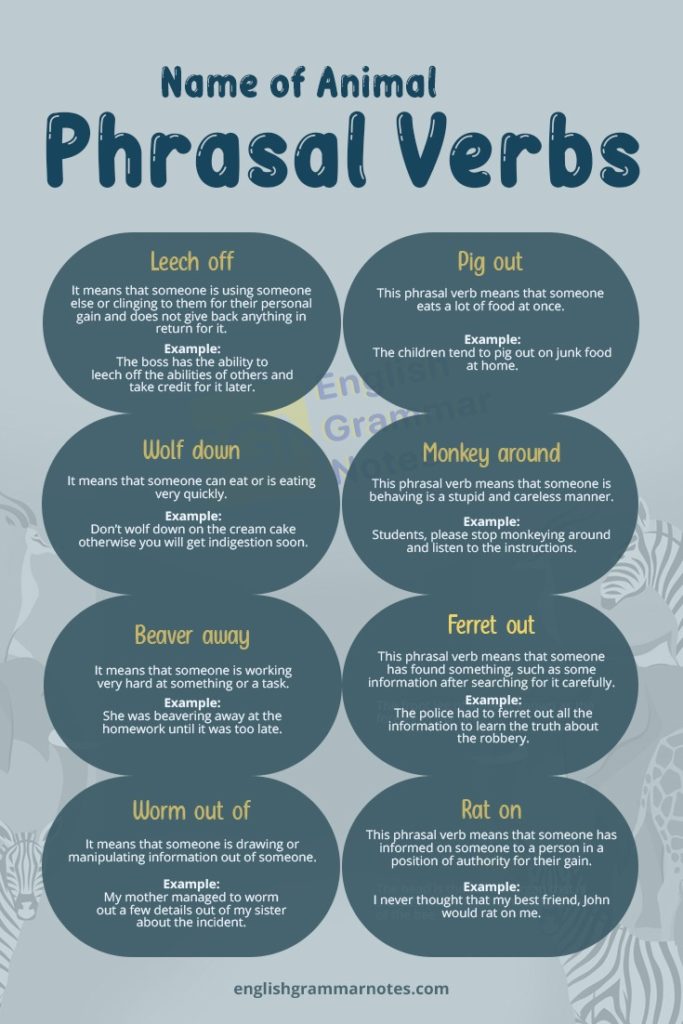 Animals Phrasal Verbs | List of Animals Phrasal Verbs With Meaning and ...