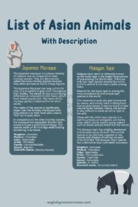 Asian Animals | List of Asian Animals With Description – English ...