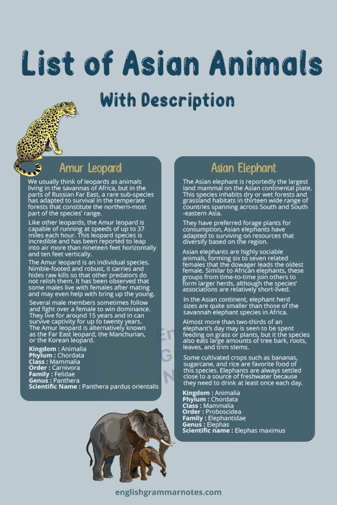 Asian Animals | List of Asian Animals With Description – English ...