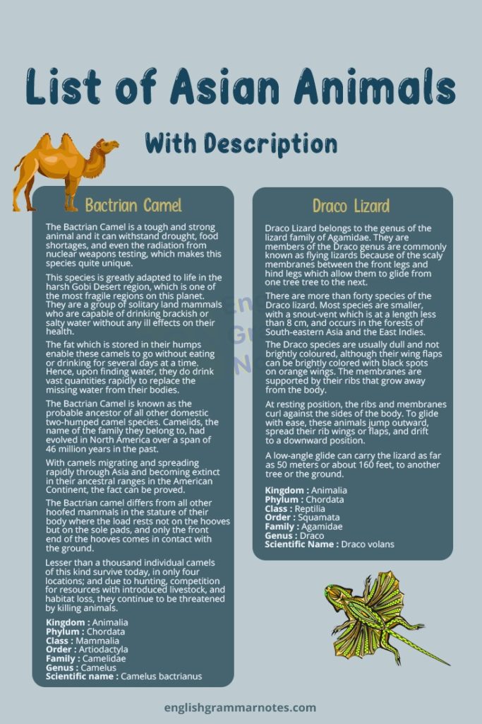 Asian Animals | List of Asian Animals With Description – English ...