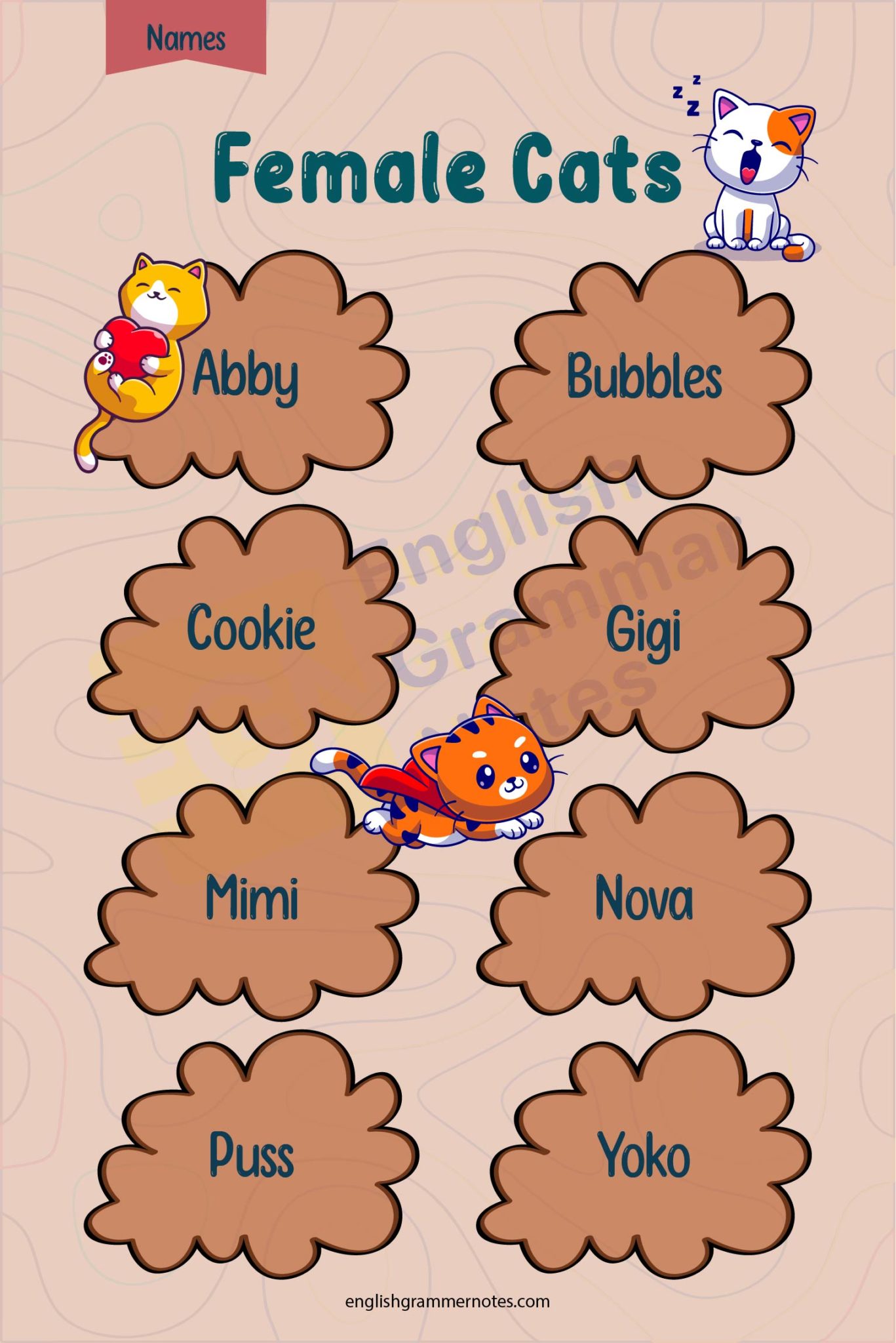 Cat Names List Of Cat Names And Popular Names Of Male And Female Cats