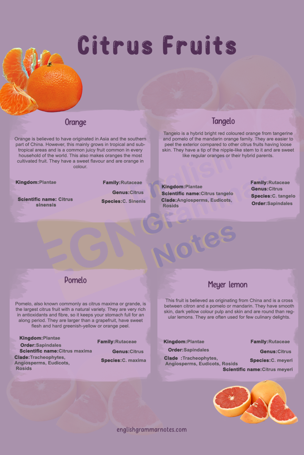 Citrus Fruits | List of Citrus Fruits With Description and Images ...