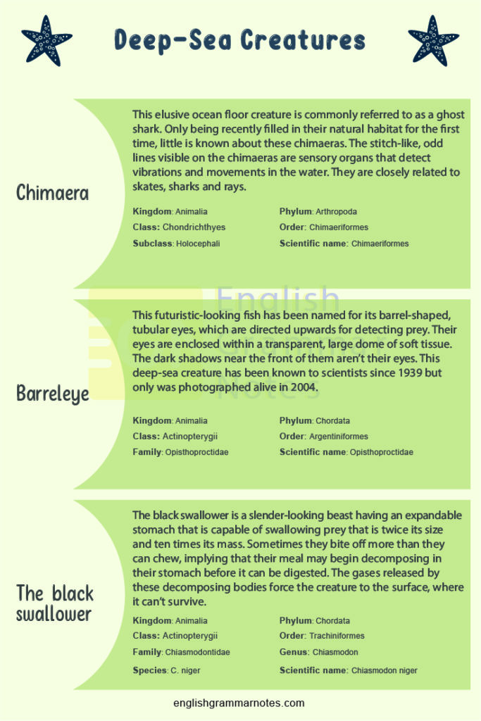 Deep Sea Creatures | List of Deep-Sea Creatures With Description ...