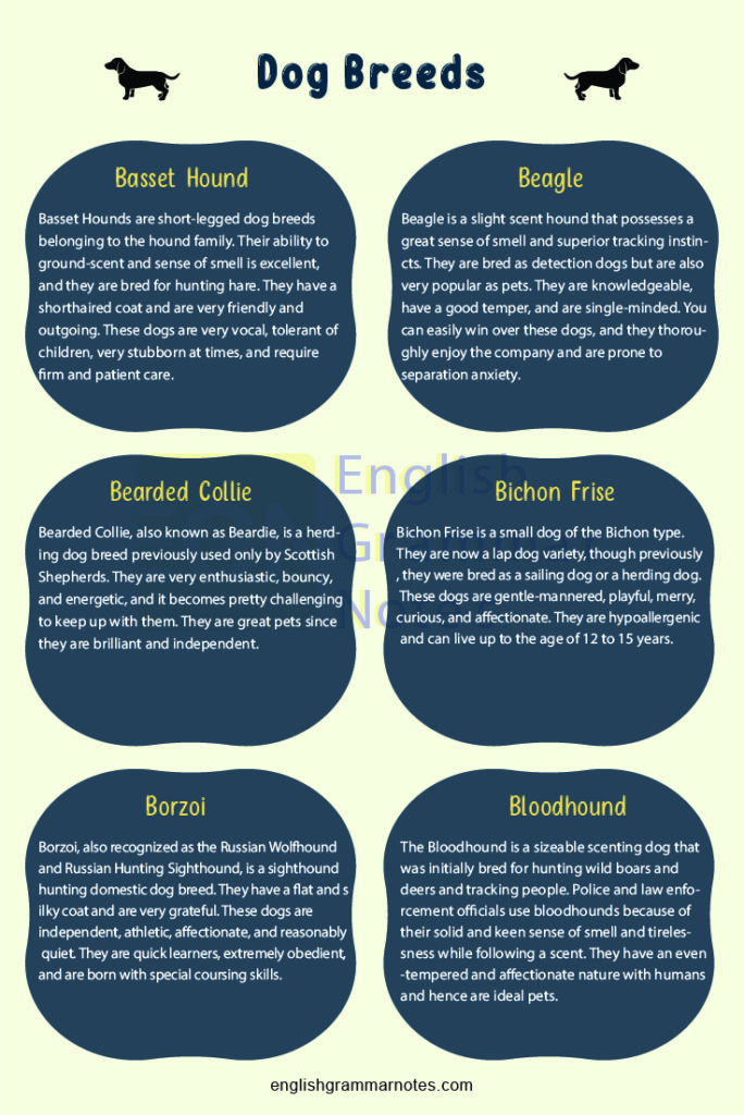 Dog Breeds | List of Dog Breeds With Description – English Grammar Notes