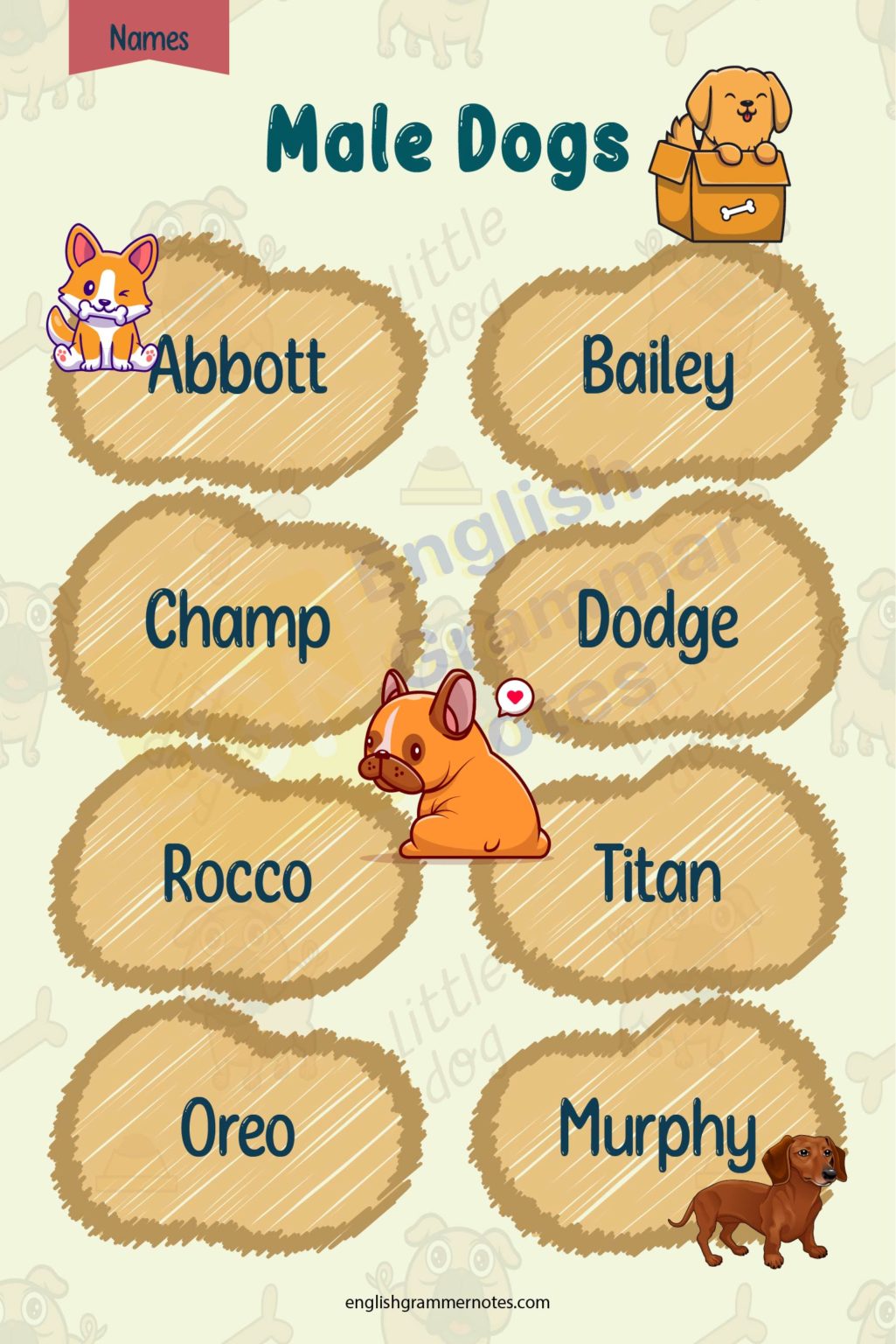 Dog Names | List of Dog Names and Popular Names of Male and Female Dogs ...