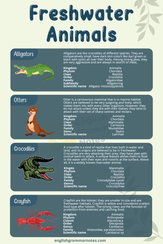 Freshwater Animals | List of Freshwater Animals With Description ...
