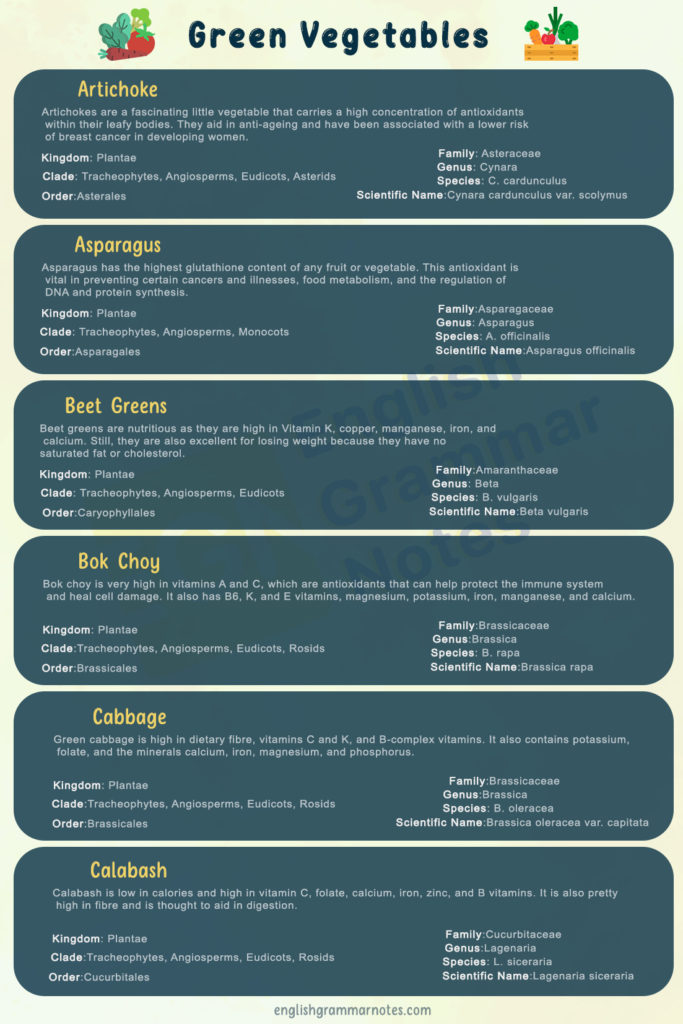 Green Vegetables | List of Green Vegetables With Description – English ...