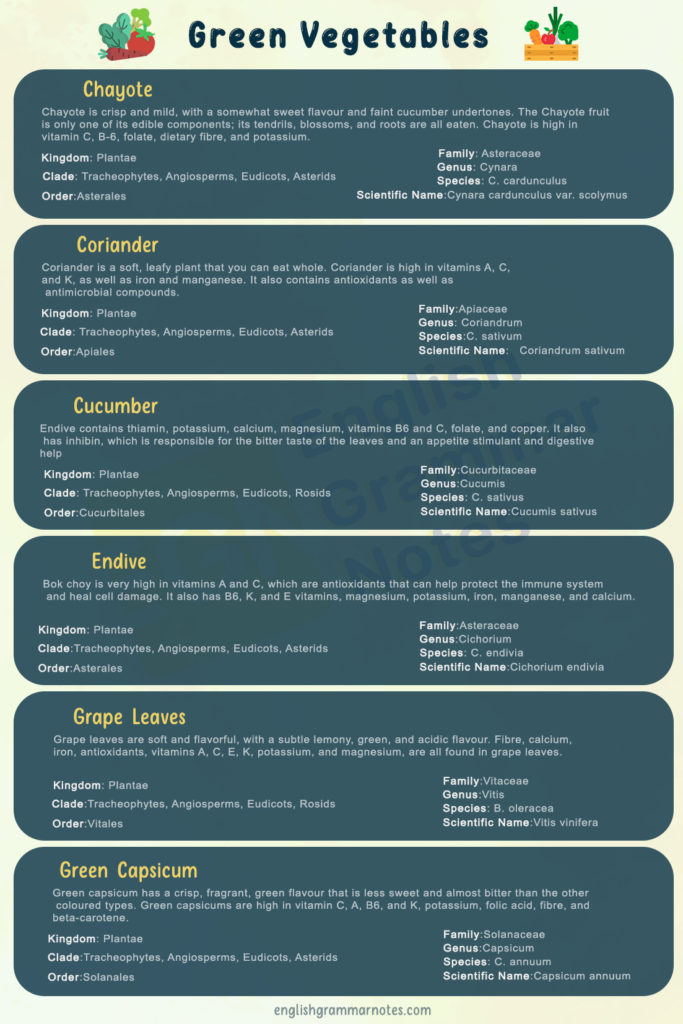 Green Vegetables | List of Green Vegetables With Description – English ...