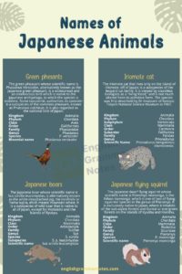 Japanese Animals | List of Japanese Animals With Description – English ...