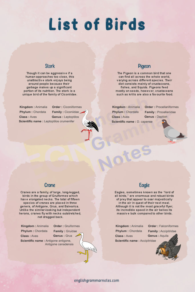 List of Animals | Animals Names List With Description – English Grammar ...