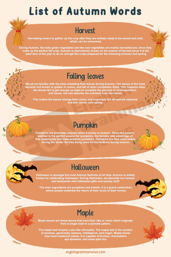 Winter Words | List of Autumn Words With Description and Images ...