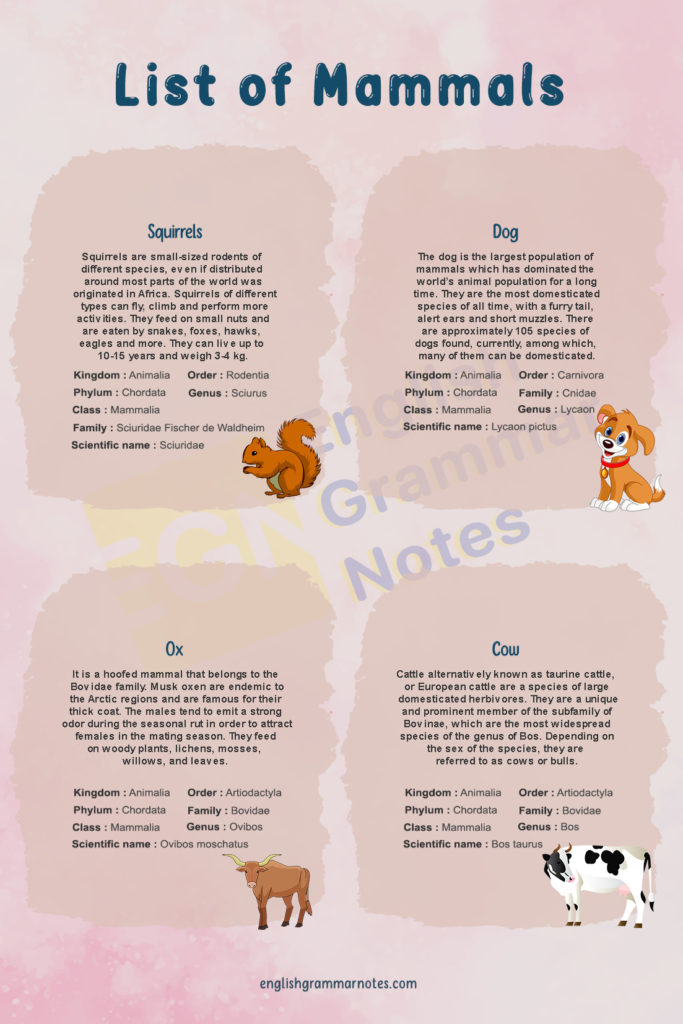 List of Animals | Animals Names List With Description – English Grammar ...