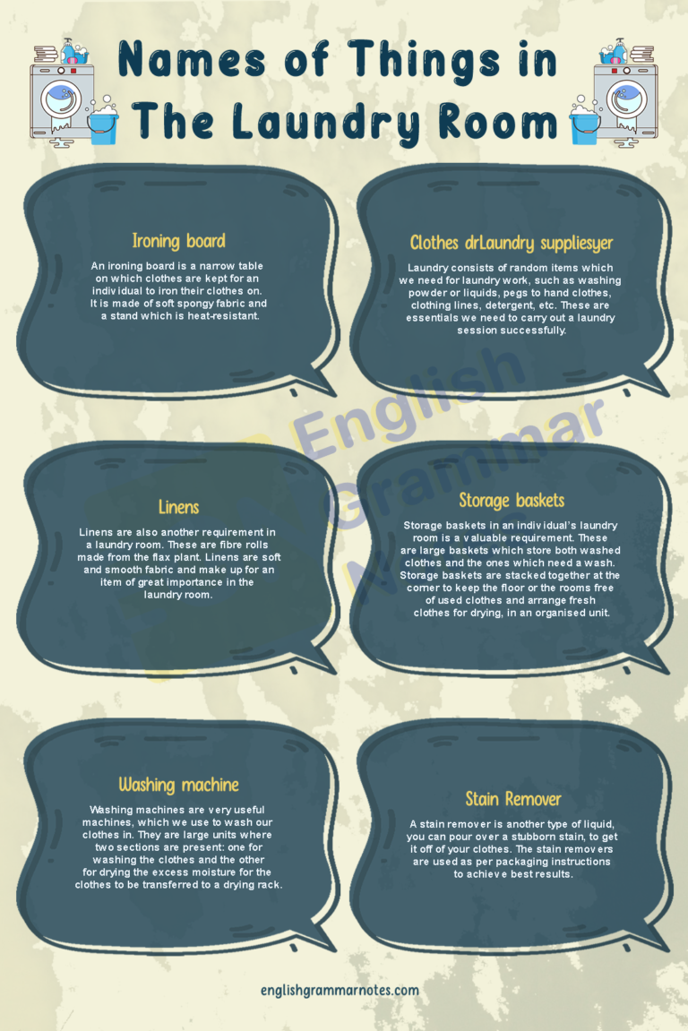 Laundry Room | List of Things in the Laundry Room With Description and ...