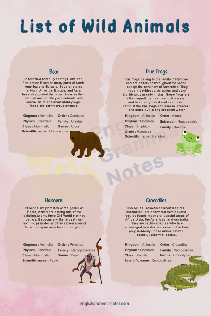 List of Animals | Animals Names List With Description – English Grammar ...