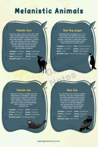 Melanistic Animals | List of Melanistic Animals With Description ...
