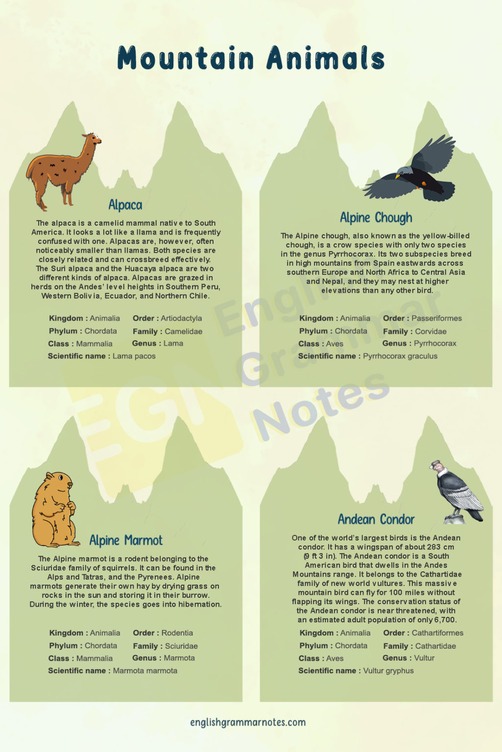 Mountain Animals | List of Mountain Animals With Description – English ...
