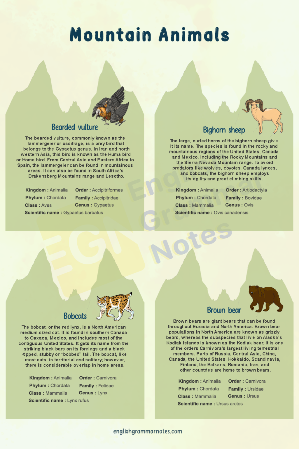 Mountain Animals | List of Mountain Animals With Description – English ...