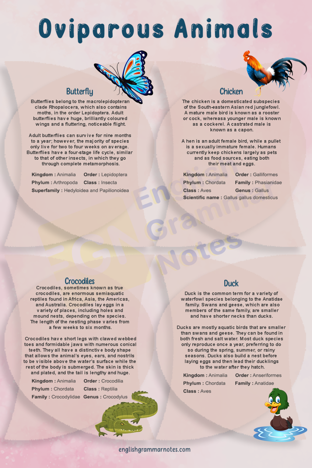 Oviparous Animals | List of Oviparous Animals With Description ...