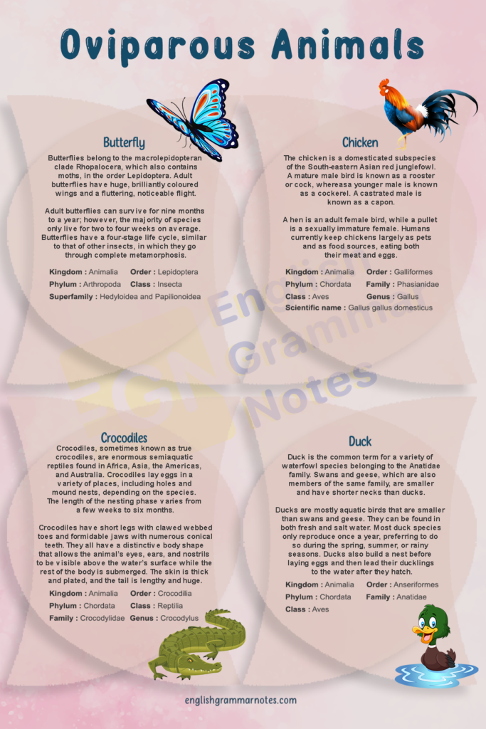 Oviparous Animals | List of Oviparous Animals With Description ...