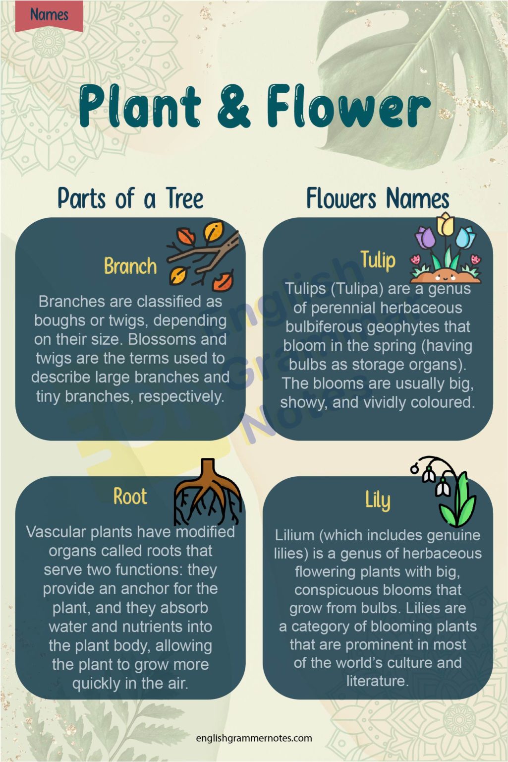 Plant and Flower Names | List of Plant and Flower Names in English with ...