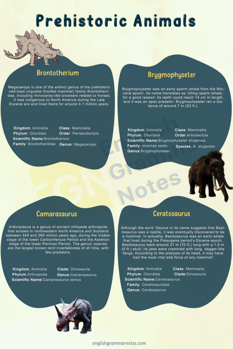 Prehistoric Animals | List of Prehistoric Animals With Description ...