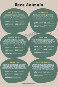 Rare Animals | List of Rare Animals With Description and Images ...
