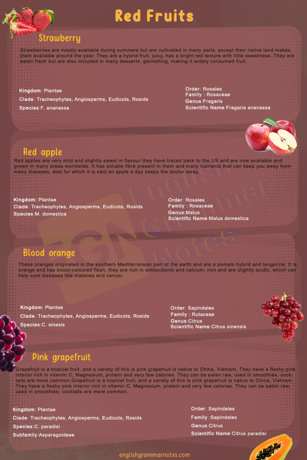Red Fruits | List of Red Fruits With Description and Images – English ...