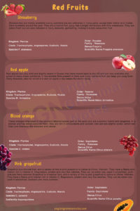 Red Fruits | List of Red Fruits With Description and Images – English ...