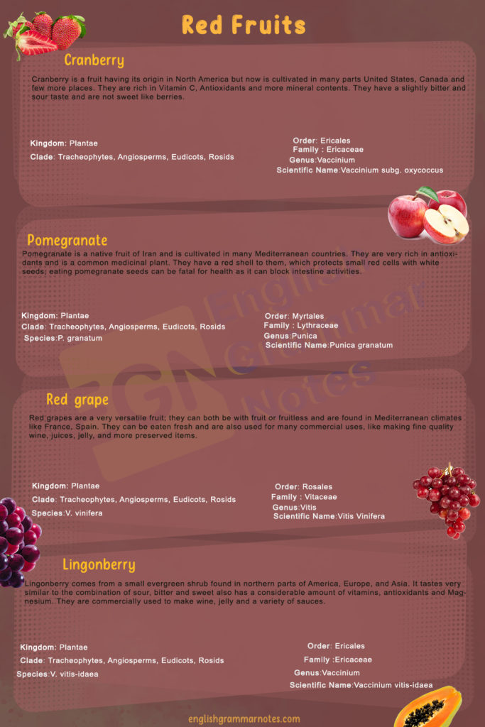 Red Fruits | List of Red Fruits With Description and Images – English ...