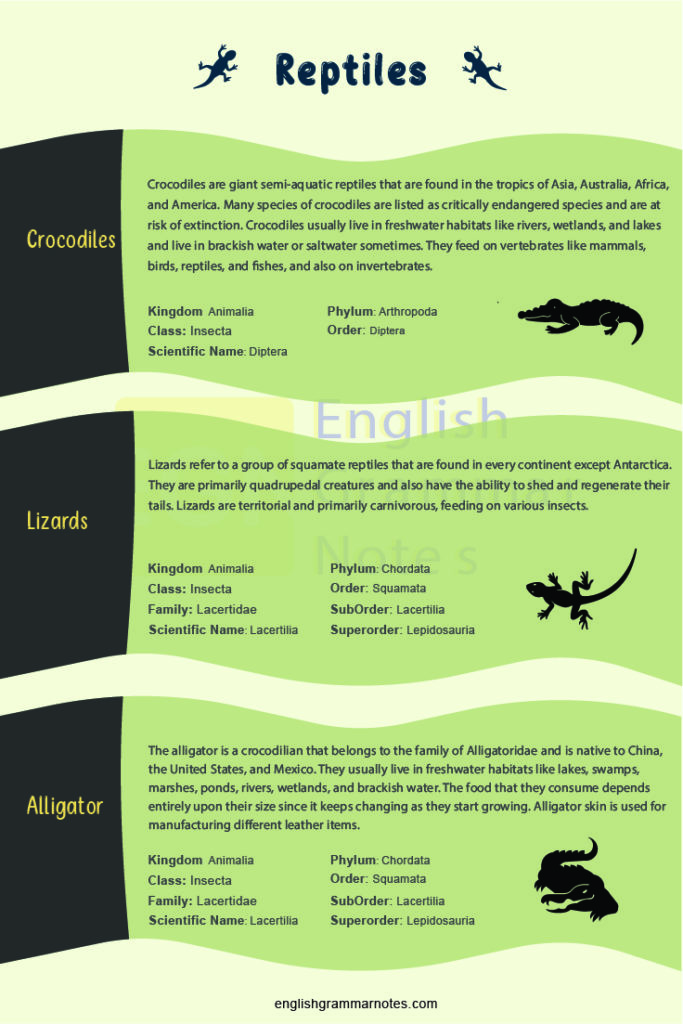 Reptiles | List of Reptiles With Description – English Grammar Notes