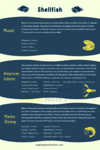 Shellfish | List of Shellfish With Description – English Grammar Notes