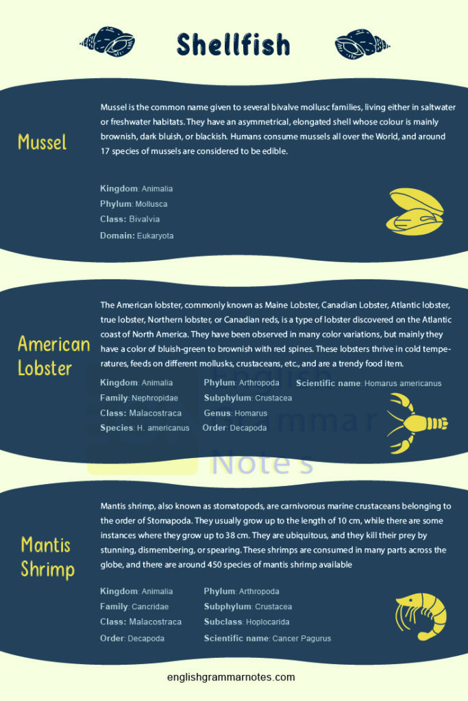 Shellfish | List of Shellfish With Description – English Grammar Notes