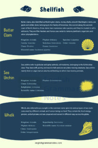 Shellfish | List of Shellfish With Description – English Grammar Notes