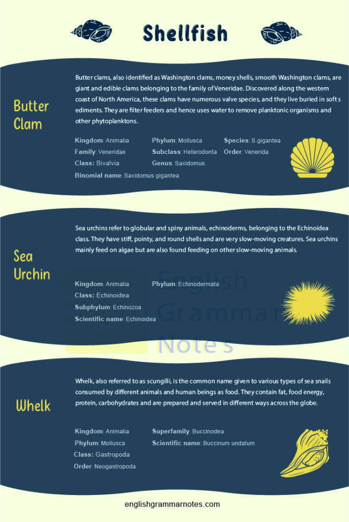 Shellfish | List of Shellfish With Description – English Grammar Notes