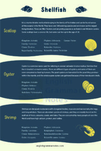 Shellfish | List of Shellfish With Description – English Grammar Notes